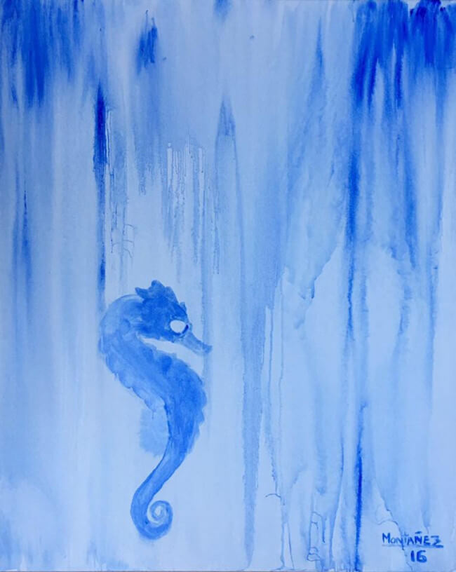 Caballito de Mar. | Ale Montañez